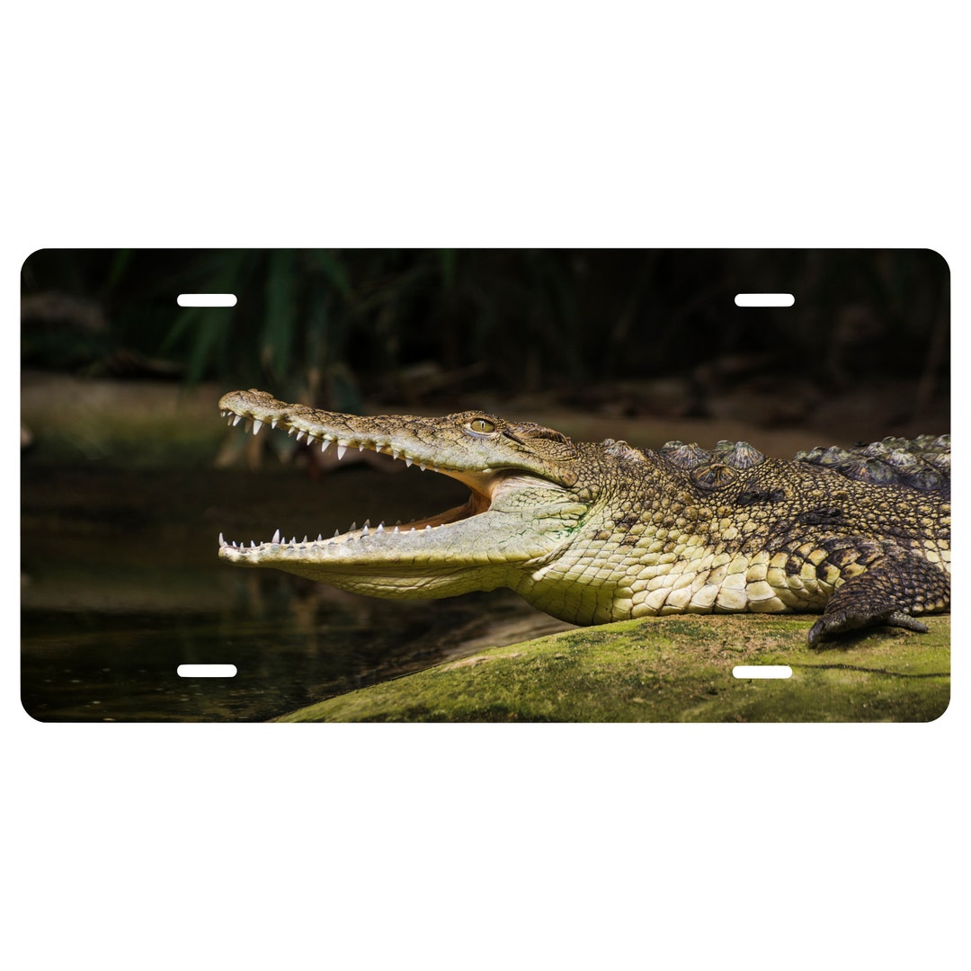 Personalized Custom Alligator Novelty Front License Plate - Decorative ...