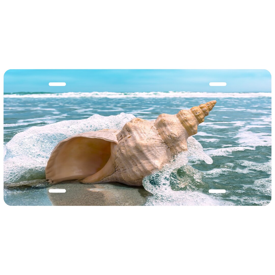 Personalized Custom Seashell on Beach Novelty Front License Plate ...