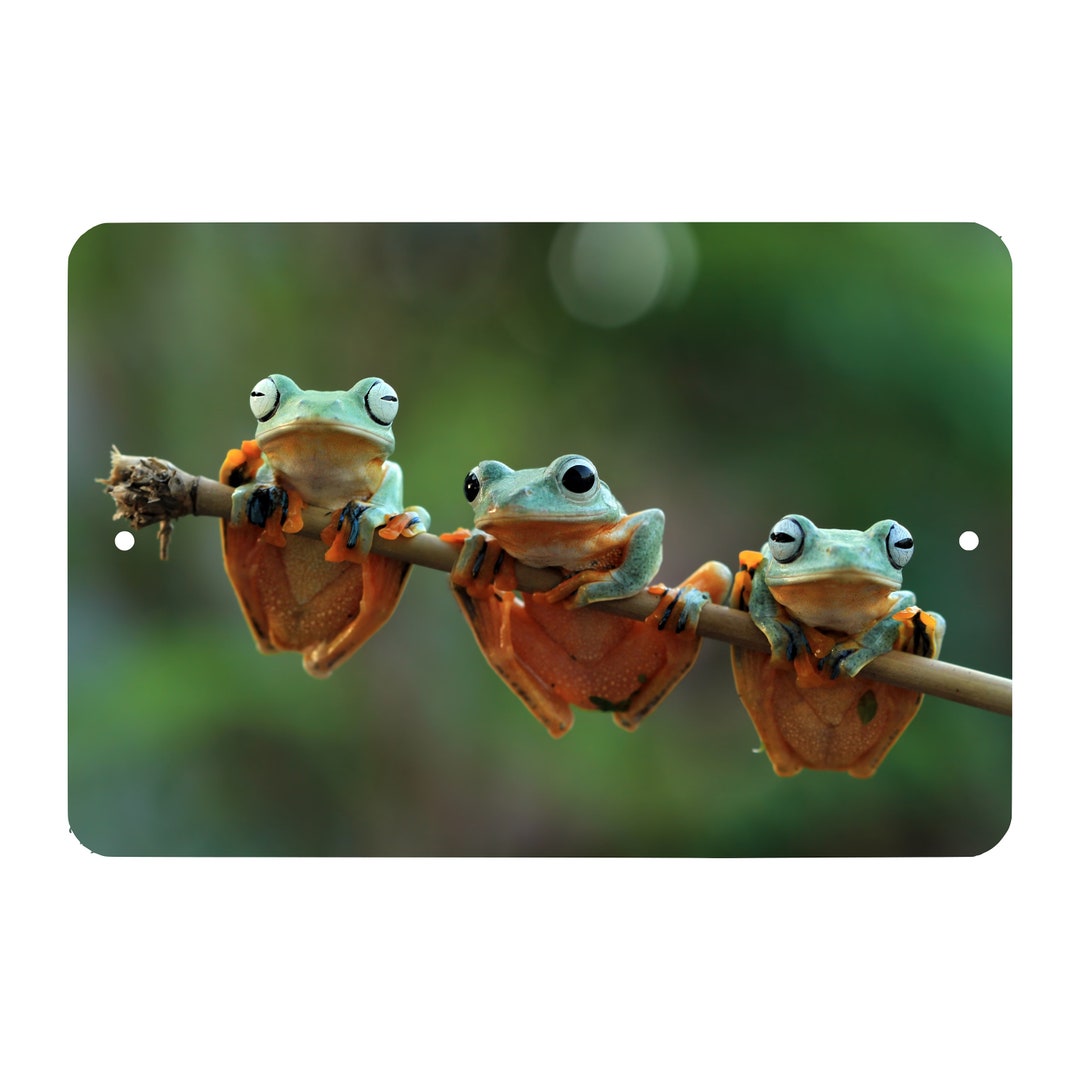3 Frogs Metal Sign - Wall Decor - Aluminum Door Sign - Wall Metal Sign ...