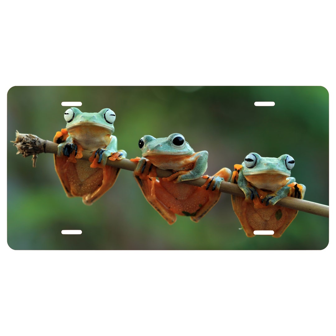 Personalized Custom 3 Frogs on Branch Novelty Vanity Front License ...