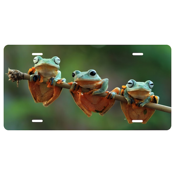 Frog Front Plate - Etsy