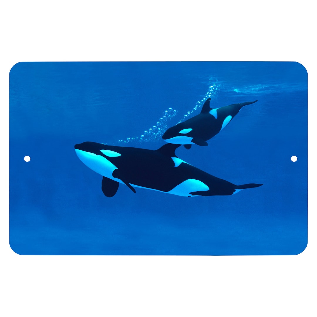 Orca Killer Whale Metal Sign - Wall Decor - Aluminum Door Sign - Under ...