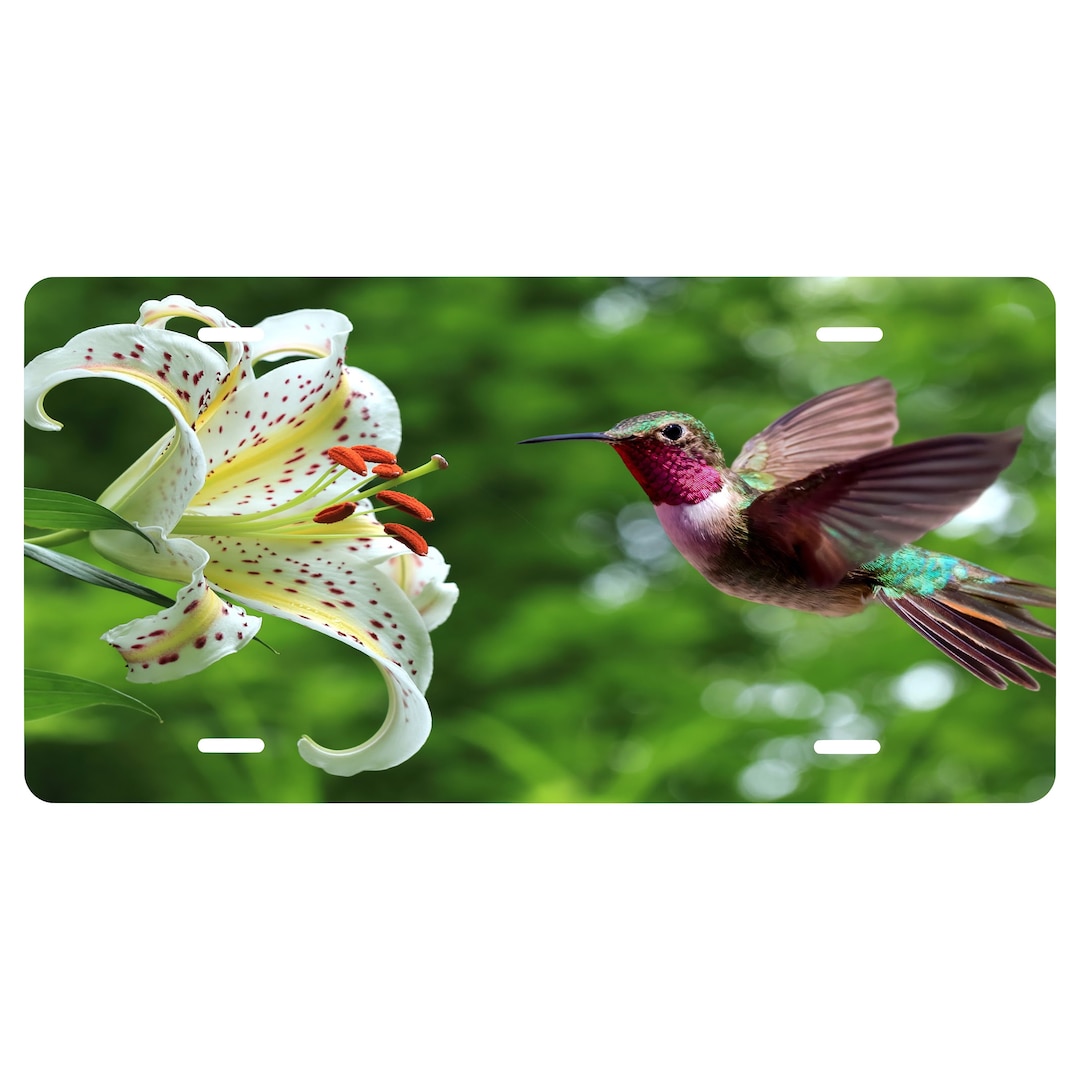 Personalized Custom Humming Bird Novelty Front License Plate - Avian ...