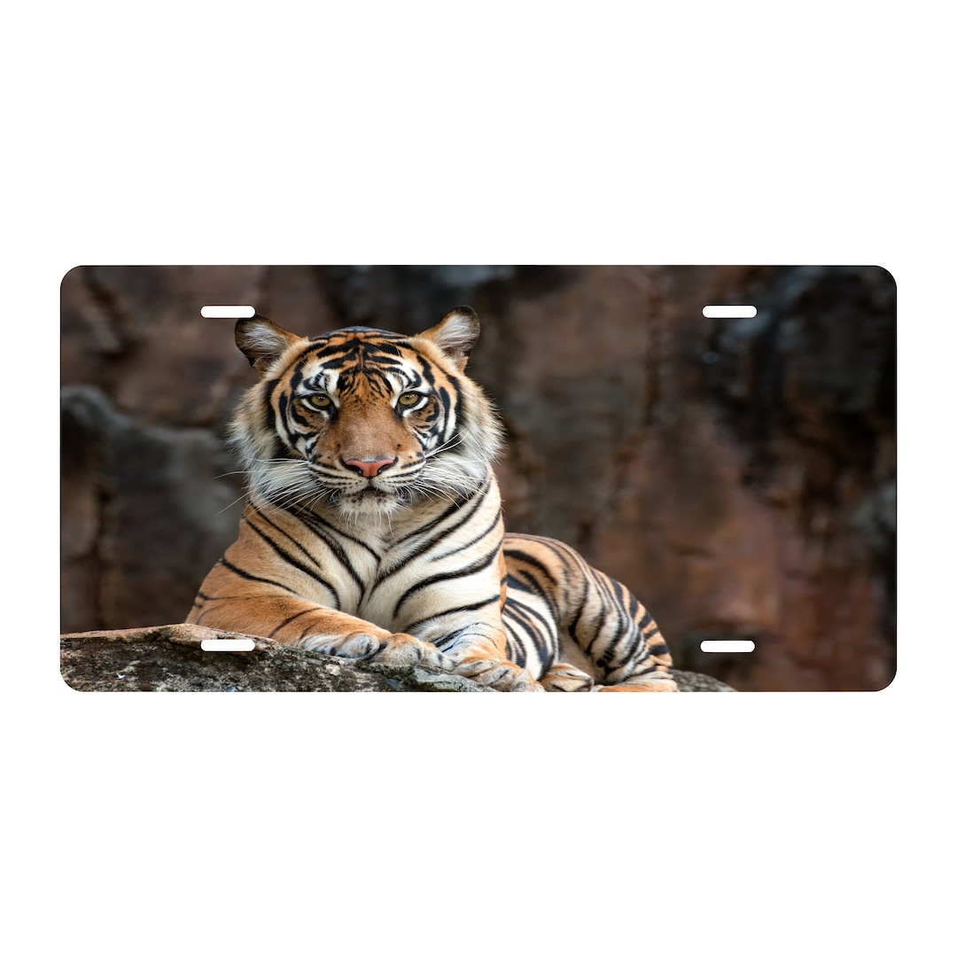 Personalized Custom Tiger Novelty Vanity Front License Plate - Roar ...
