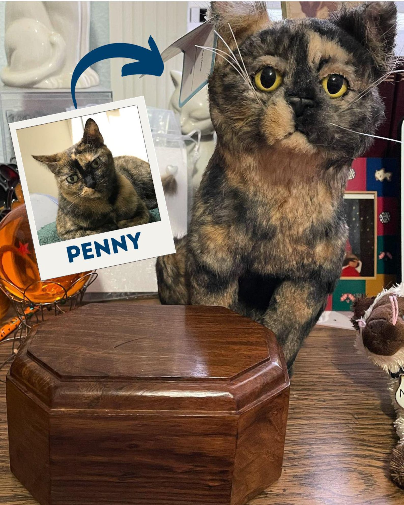 Custom Cat Stuffed Animal Turn Photo of Cat Into Stuffed Animal, Plush ...