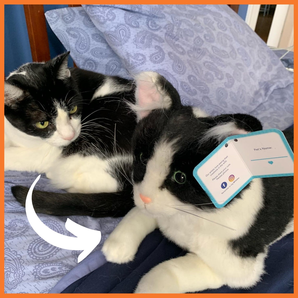 Custom Cat Stuffed Animal Turn Photo of Cat Into Stuffed - Etsy