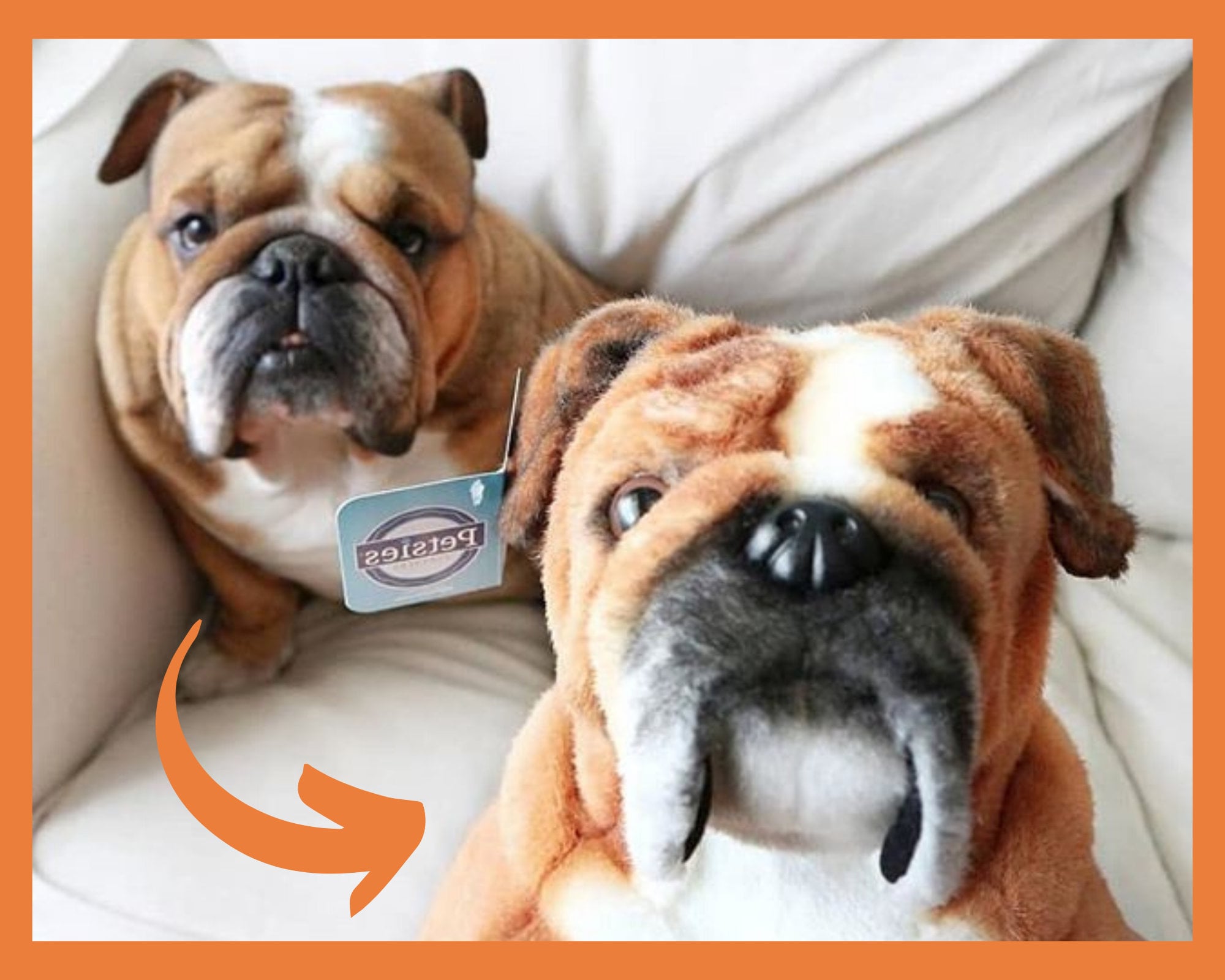 Custom Stuffed Animal of Pet Pet Plush Clones Turn Photo of Pet Into Stuffed Animal Plush From Photo Custom Pet Stuffed Animal Etsy UK