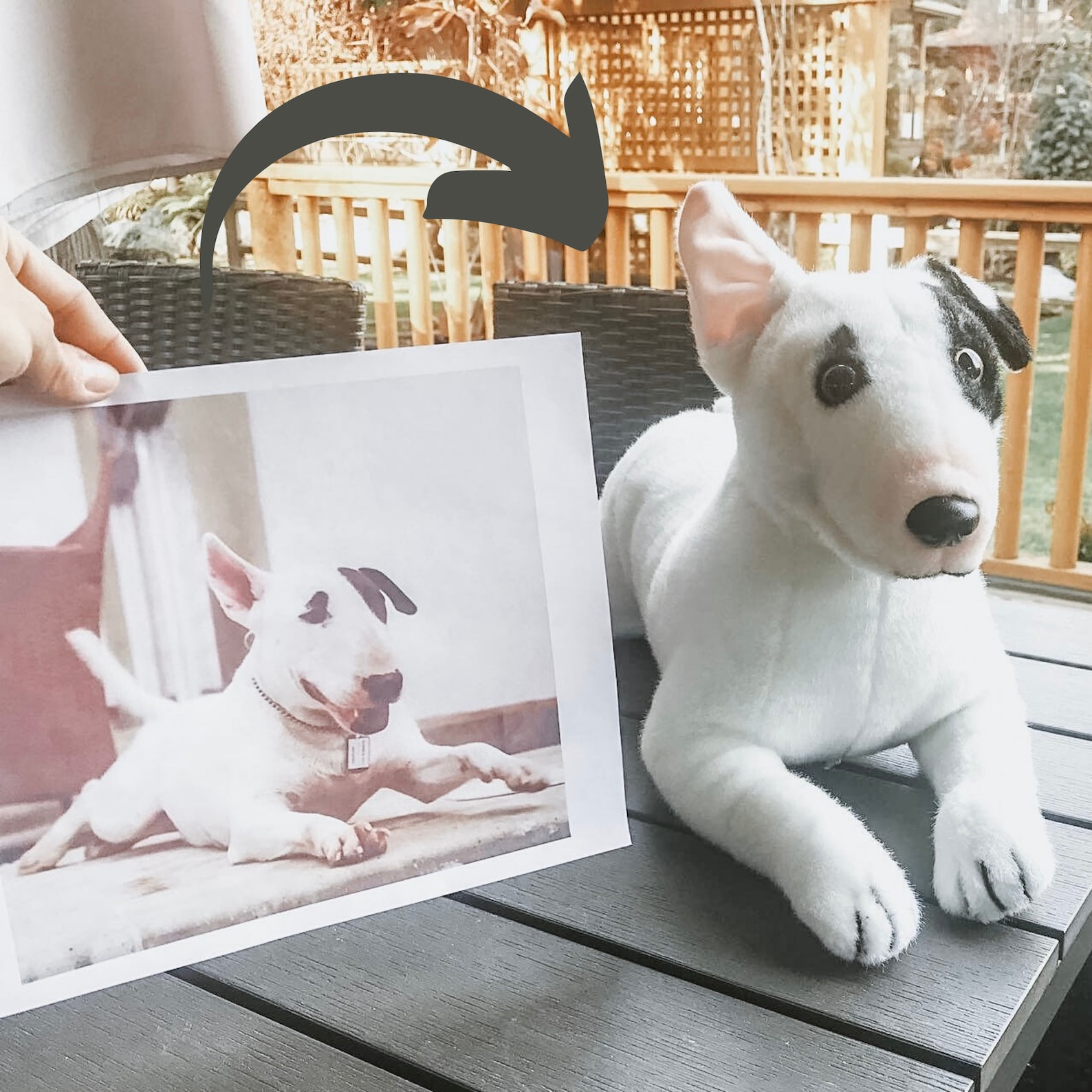 Custom Pet Stuffed Animals: Photo of Pet Into Custom Stuffed Animal ...
