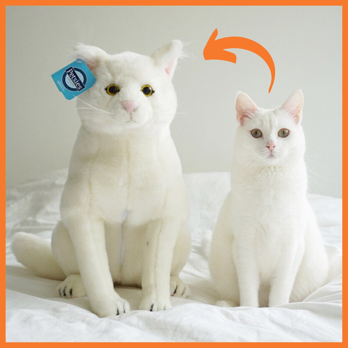 Custom Cat Stuffed Animal Turn Photo of Cat Into Stuffed - Etsy