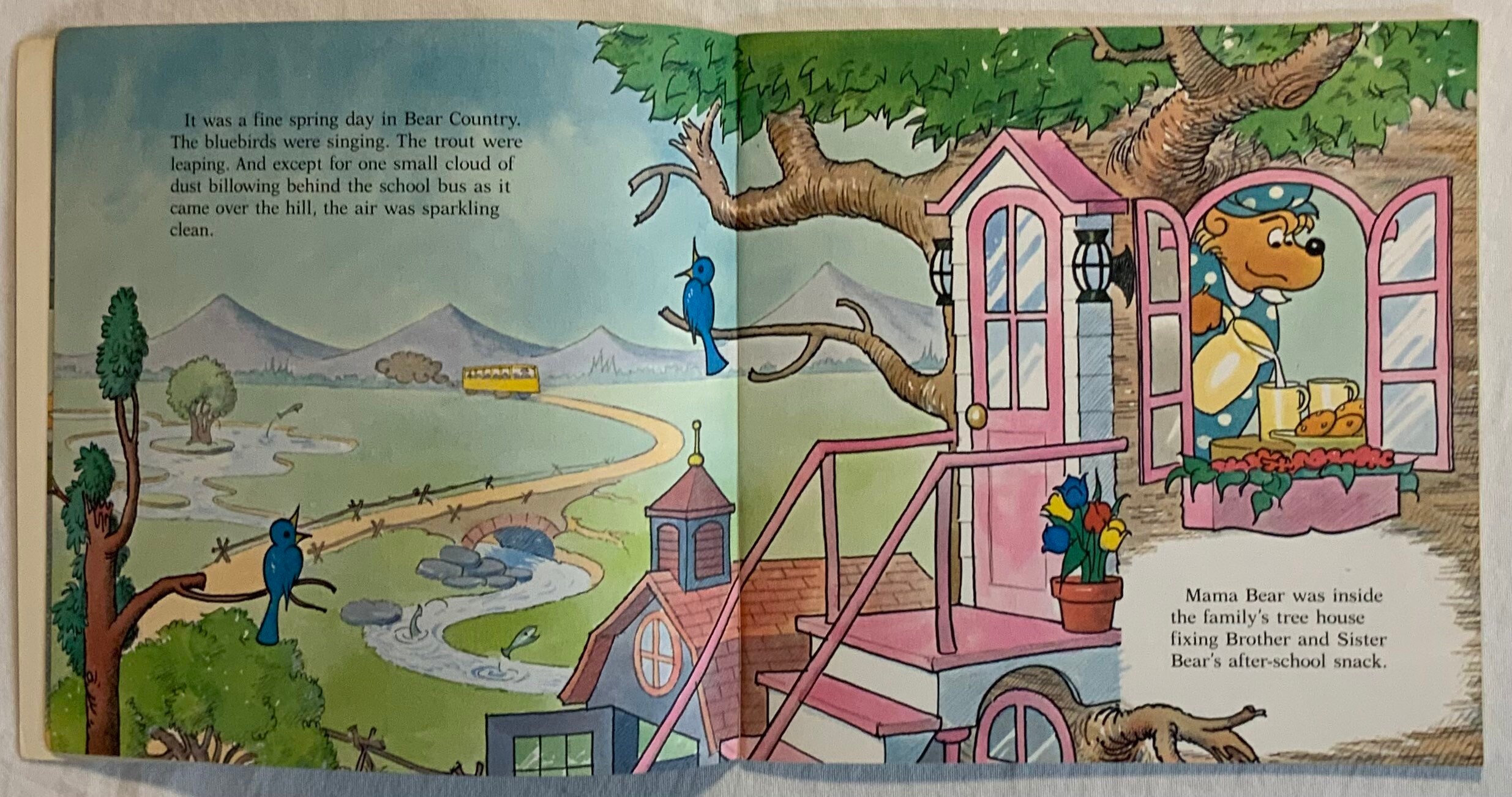 The Berenstain Bears and Too Much TV by Stan and Jan Berenstain Vintage ...