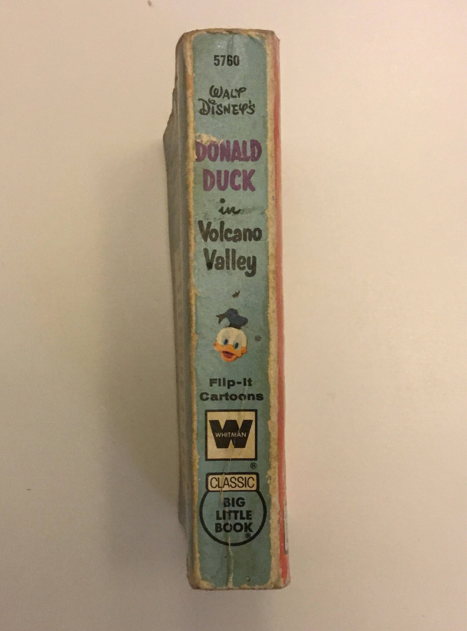 Donald Duck in Volcano Valley Vintage Big Little Book 1973 - Etsy