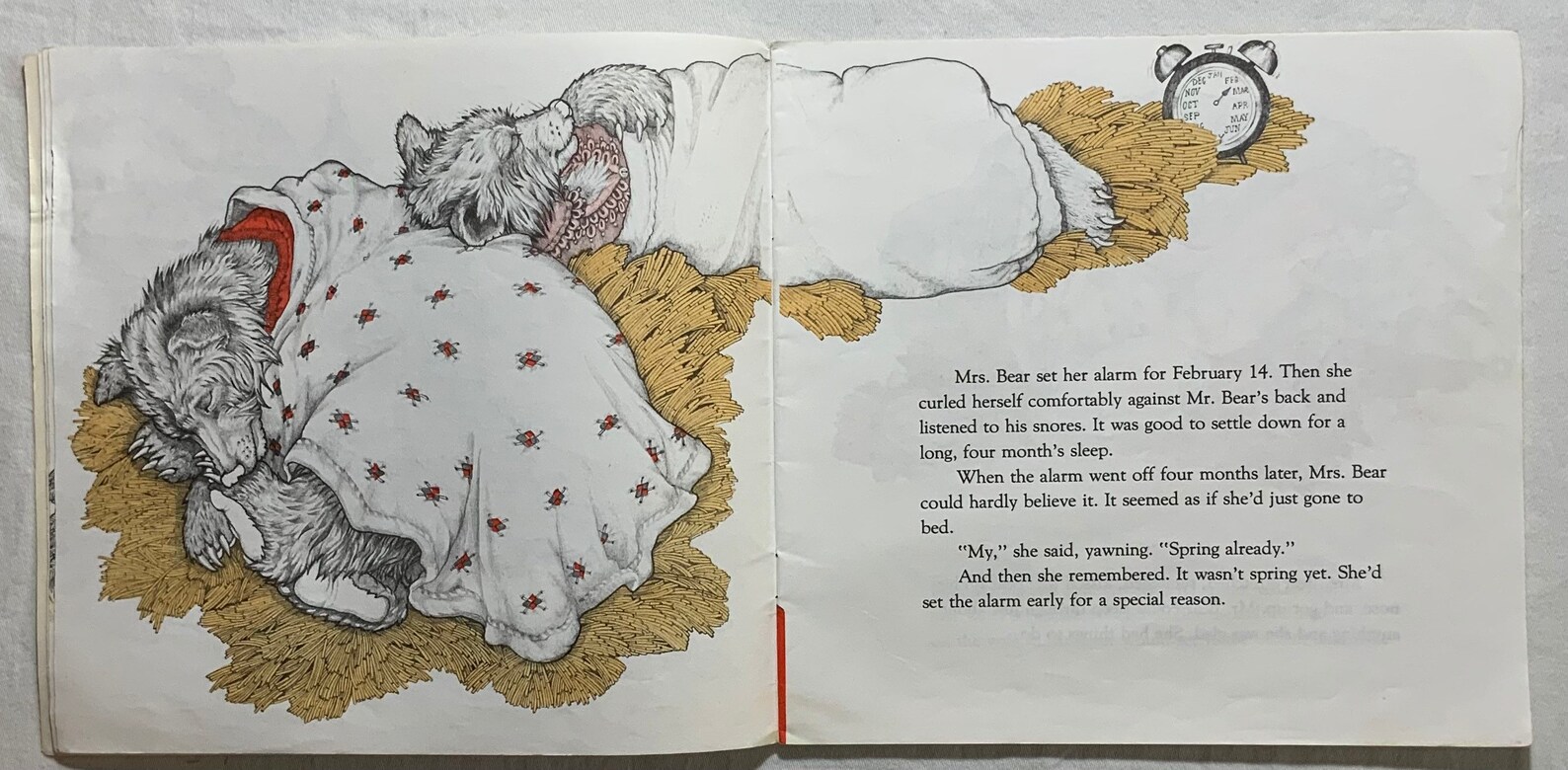 The Valentine Bears by Eve Bunting Pictures by Jan Brett - Etsy