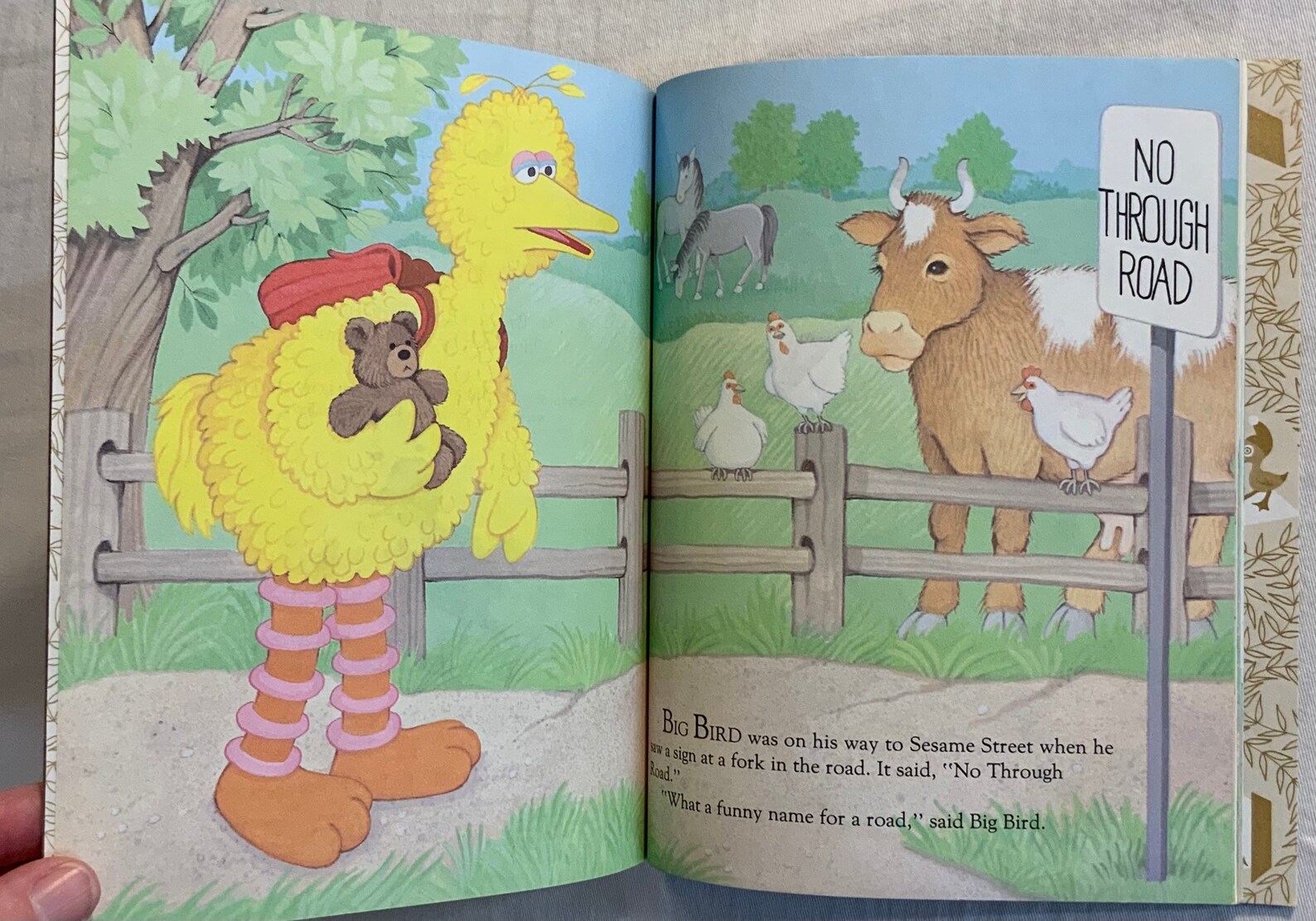 Sesame Street Big Bird’s Day on the Farm by Cathi Rosenberg-turow ...