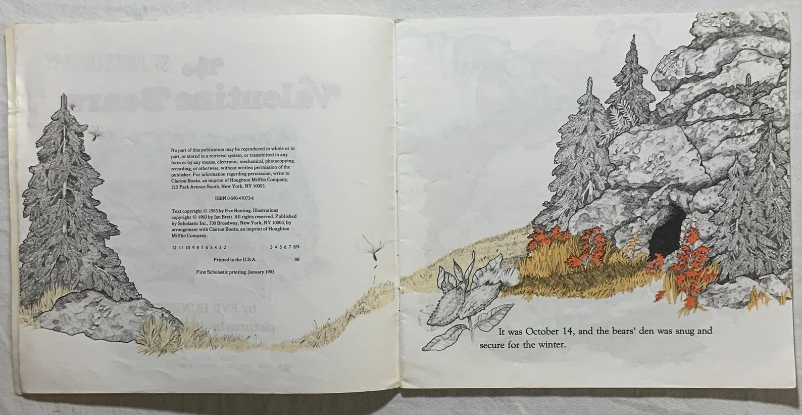 The Valentine Bears by Eve Bunting Pictures by Jan Brett - Etsy