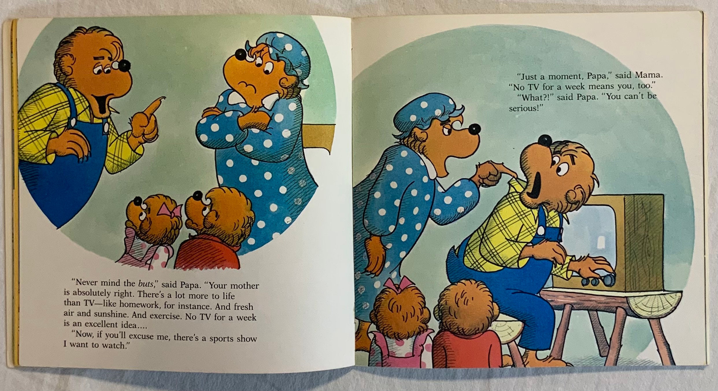 The Berenstain Bears and Too Much TV by Stan and Jan Berenstain Vintage ...