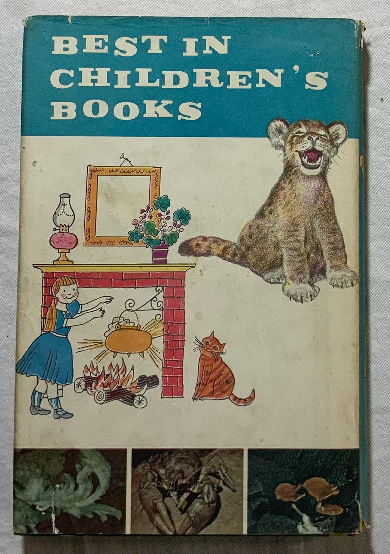 Best in Childrens Books: Winged Horse Pegasus Lion Cub - Etsy