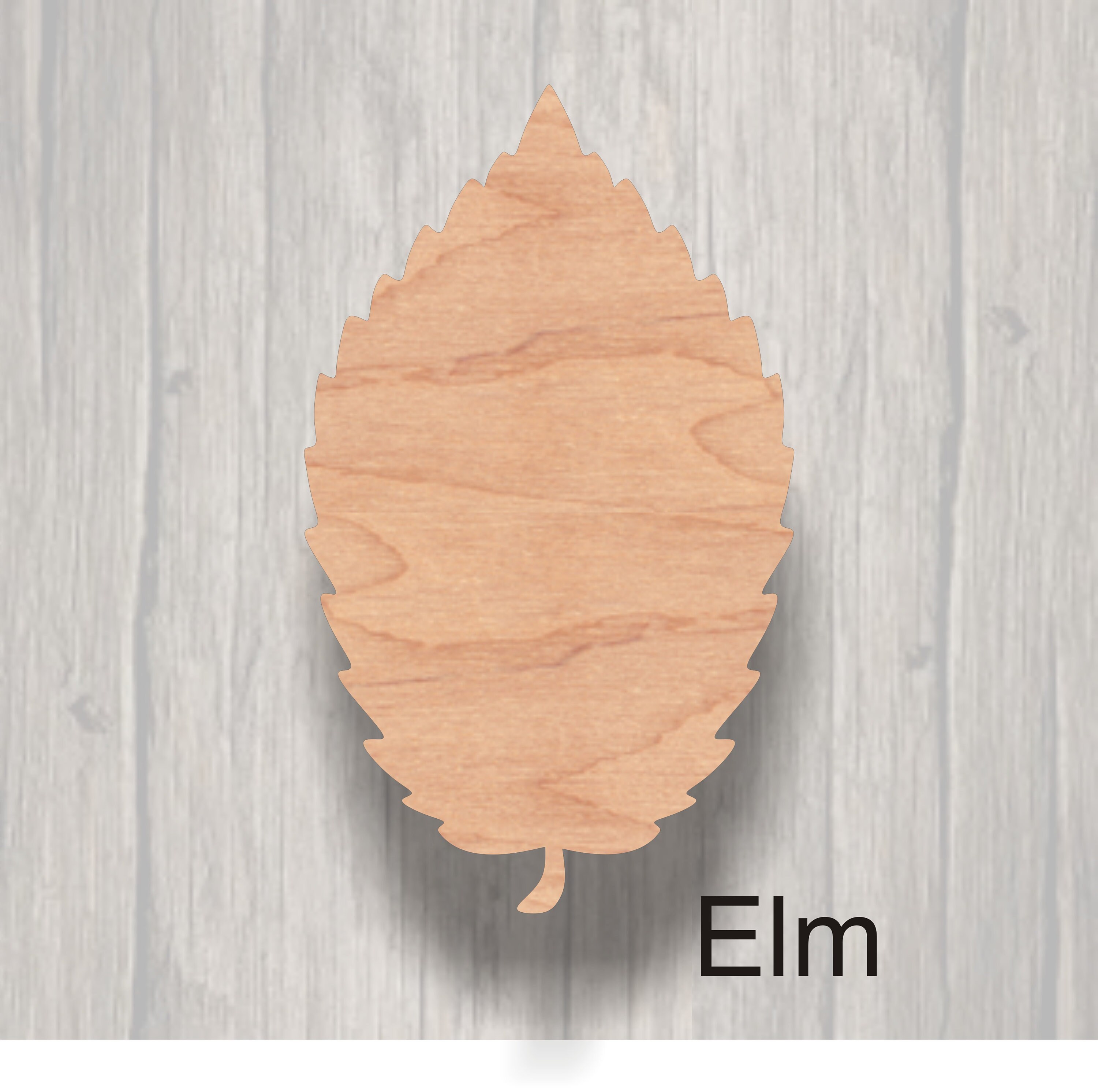 Elm Leaf. Unfinished Wood Cutout. Wood Cutout. Laser Cutout. | Etsy