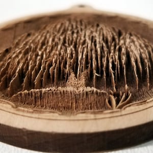 3D Ornaments. Willow Tree Ornament. Laser Engraved. Unfinished Wood. - Etsy