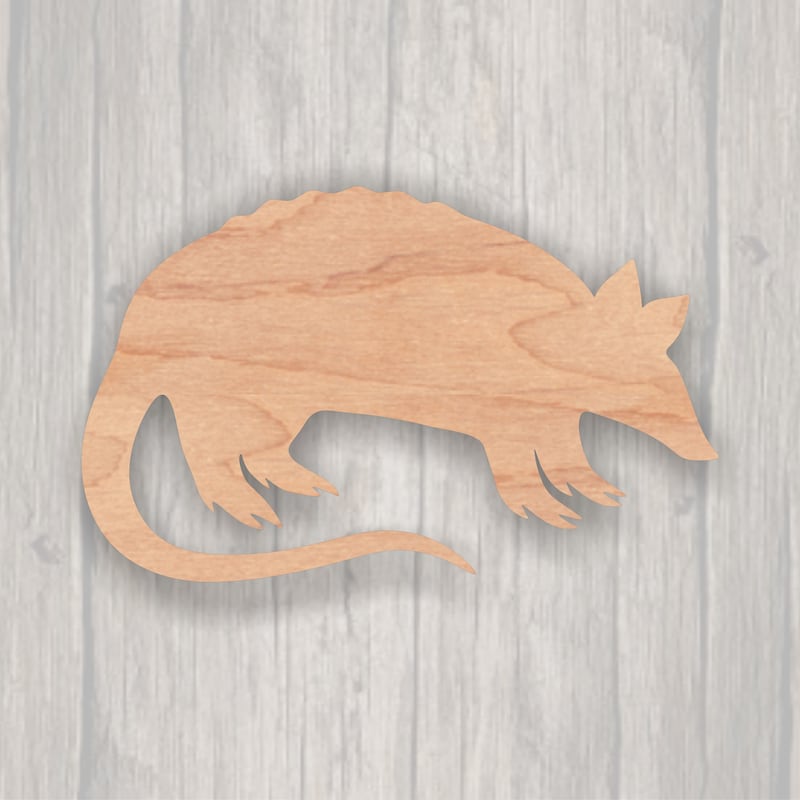 Armadillo Sign - Etsy
