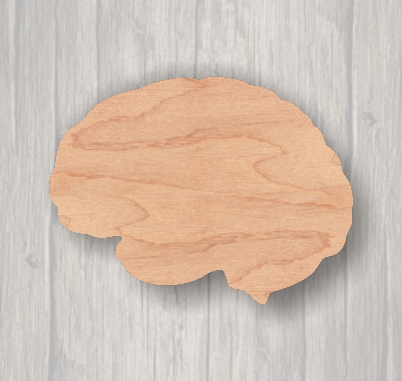 Brain. Unfinished Wood Cutout. Wood Cutout. Laser Cutout. Wood - Etsy