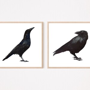 PRINTABLE Watercolor Raven Bird Art Print Set of 2 Paintings - Etsy