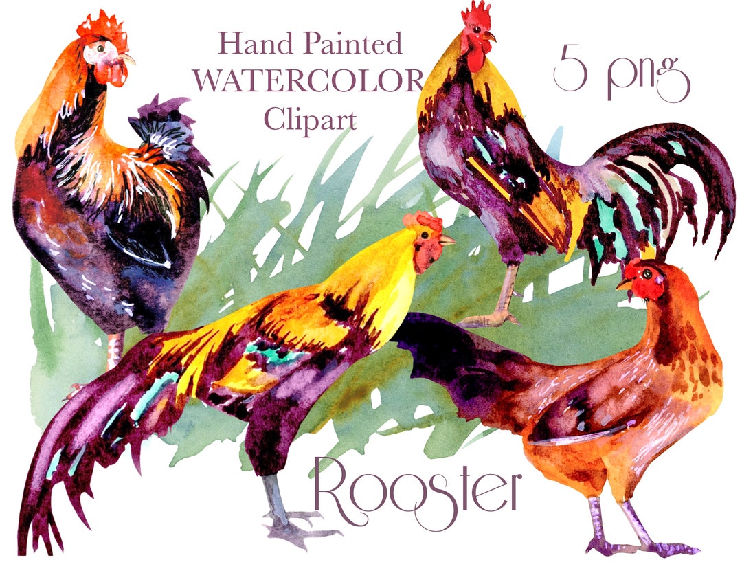 Roosters Clipart Farm Bird Animal Clip Art Printable Instant - Etsy