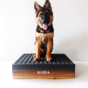 Dog Training Stand | Dog Training Platform | Dog Agility | Obedience ...