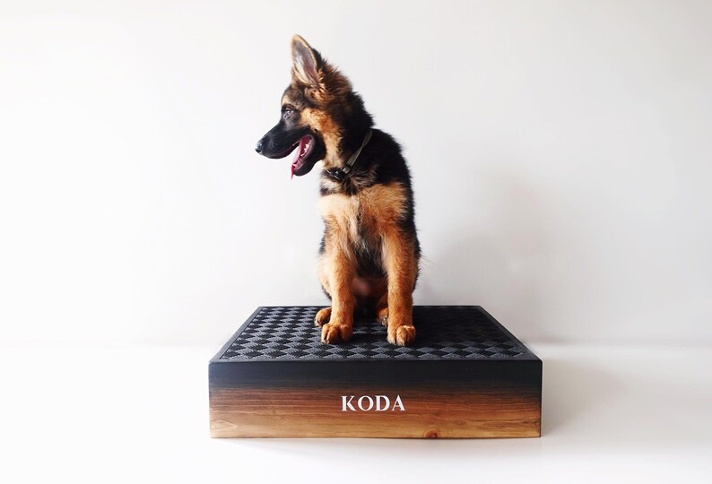 Dog Training Stand Dog Training Platform Dog Agility - Etsy