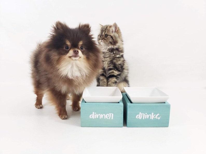 Modern Square Dog Bowl Set Elevated Pet Feeder Porcelain - Etsy