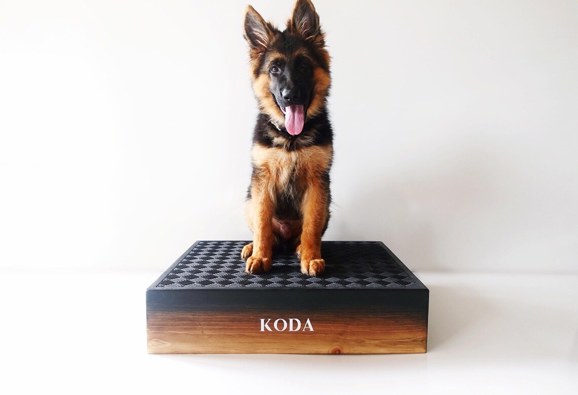 Dog Training Stand Dog Training Platform Dog Agility - Etsy
