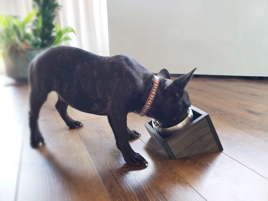 Modern Square Angled Feeder Small Dogs or Cats Stainless - Etsy
