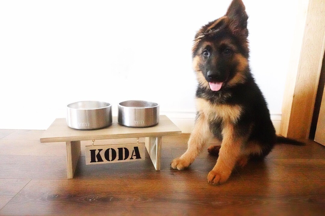 Personalized Dog Feeder Minimalist Dog Bowl Riser | Modern Dog Bowl ...