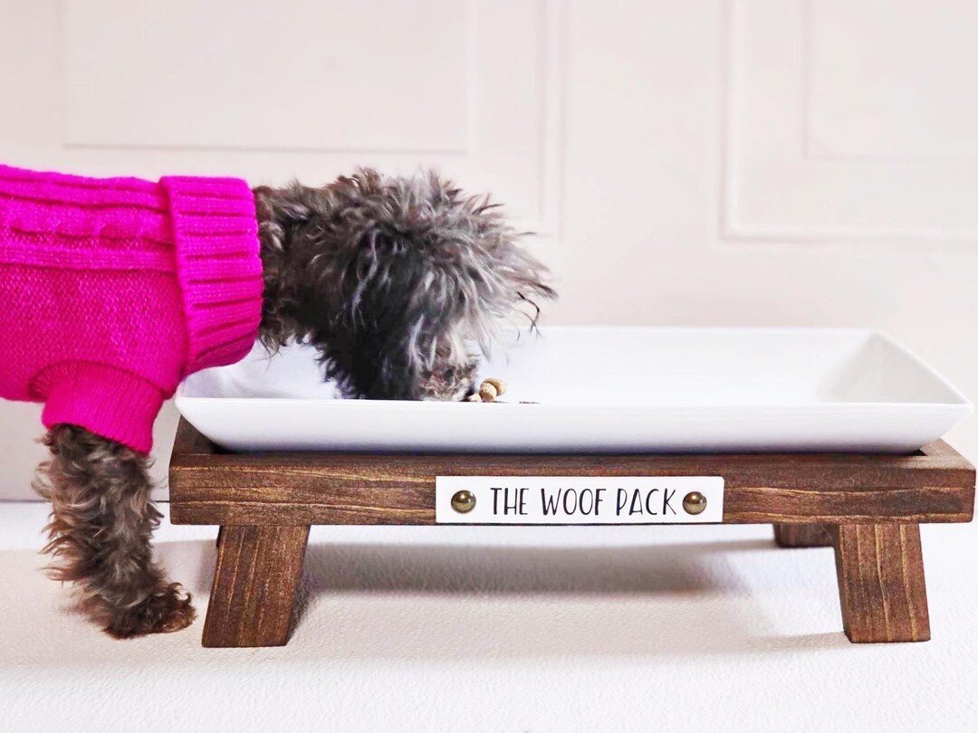 Tiny Teacup Toy Size Puppy Feeder | X-small Dog Dish Feeder | Shallow ...