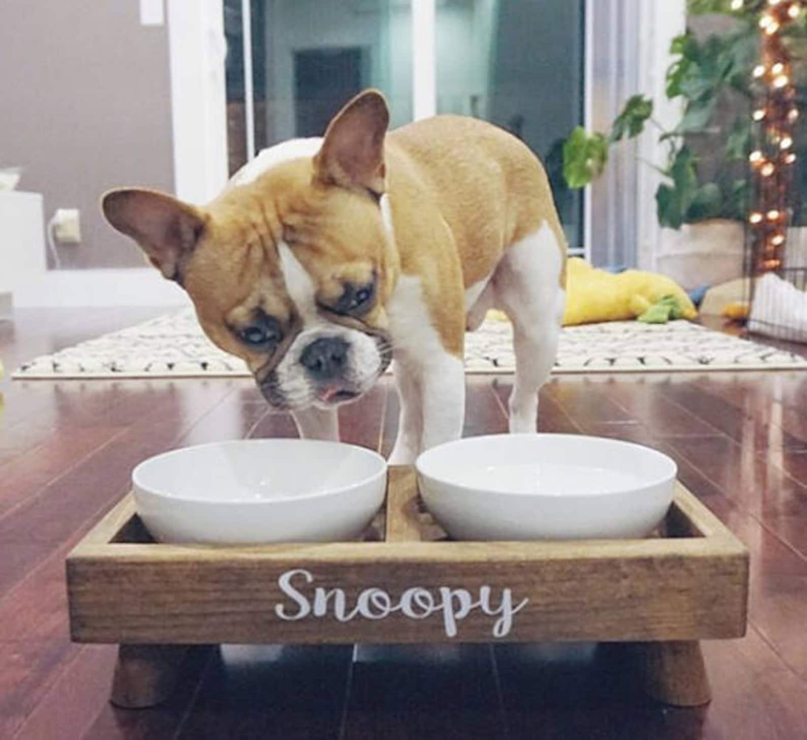 Elevated Dog Bowl Set Personalized Dog Food Stand Pet | Etsy