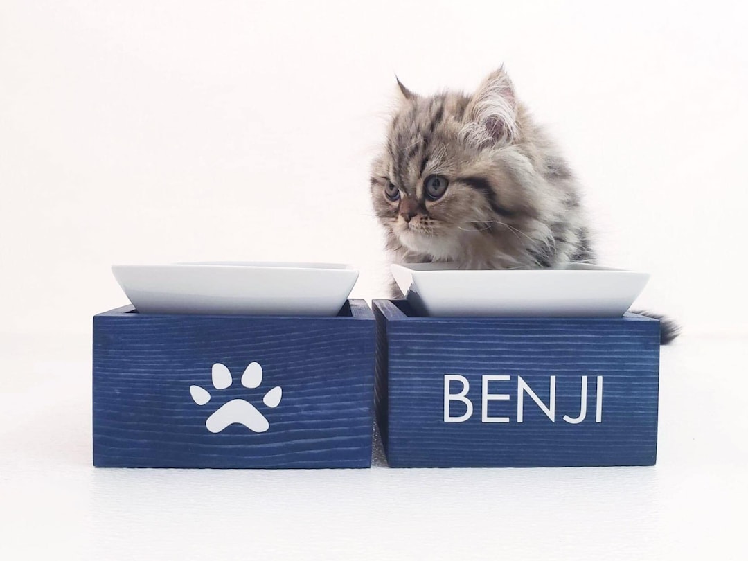 Modern Square Dog Bowl Set | Elevated Pet Feeder | Porcelain Pet Bowls ...