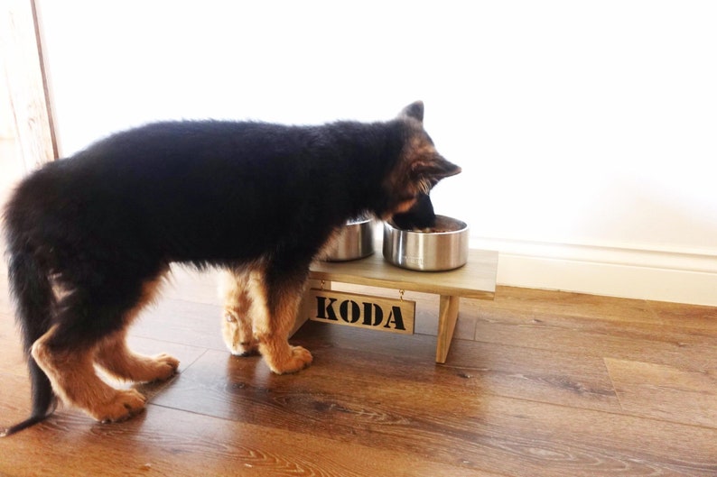 Personalized Dog Feeder Minimalist Dog Bowl Riser Modern Dog - Etsy