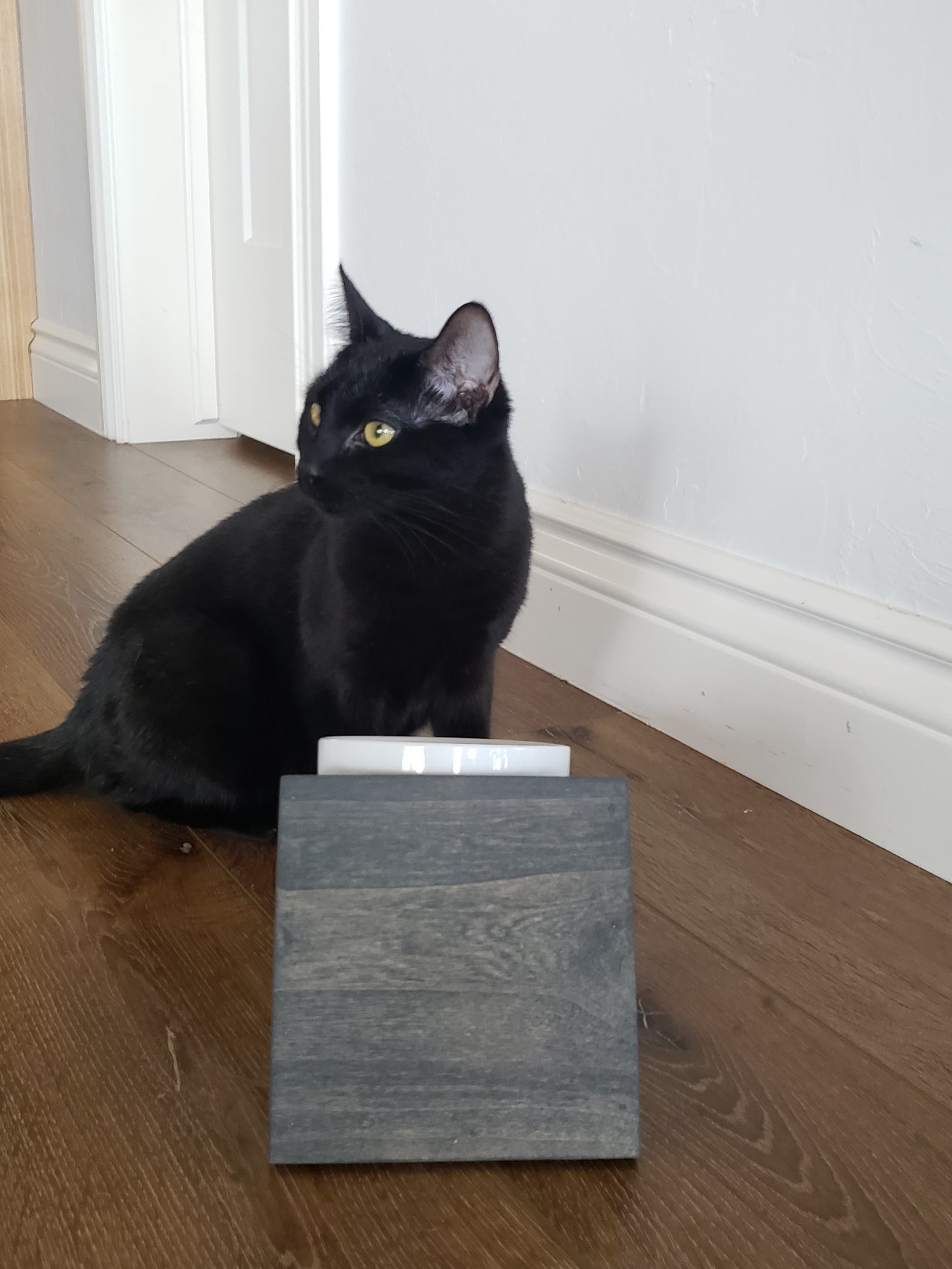 Tilted Cat Bowls | Angled Pet Feeder | Whister Fatigue Cats | Elevated ...