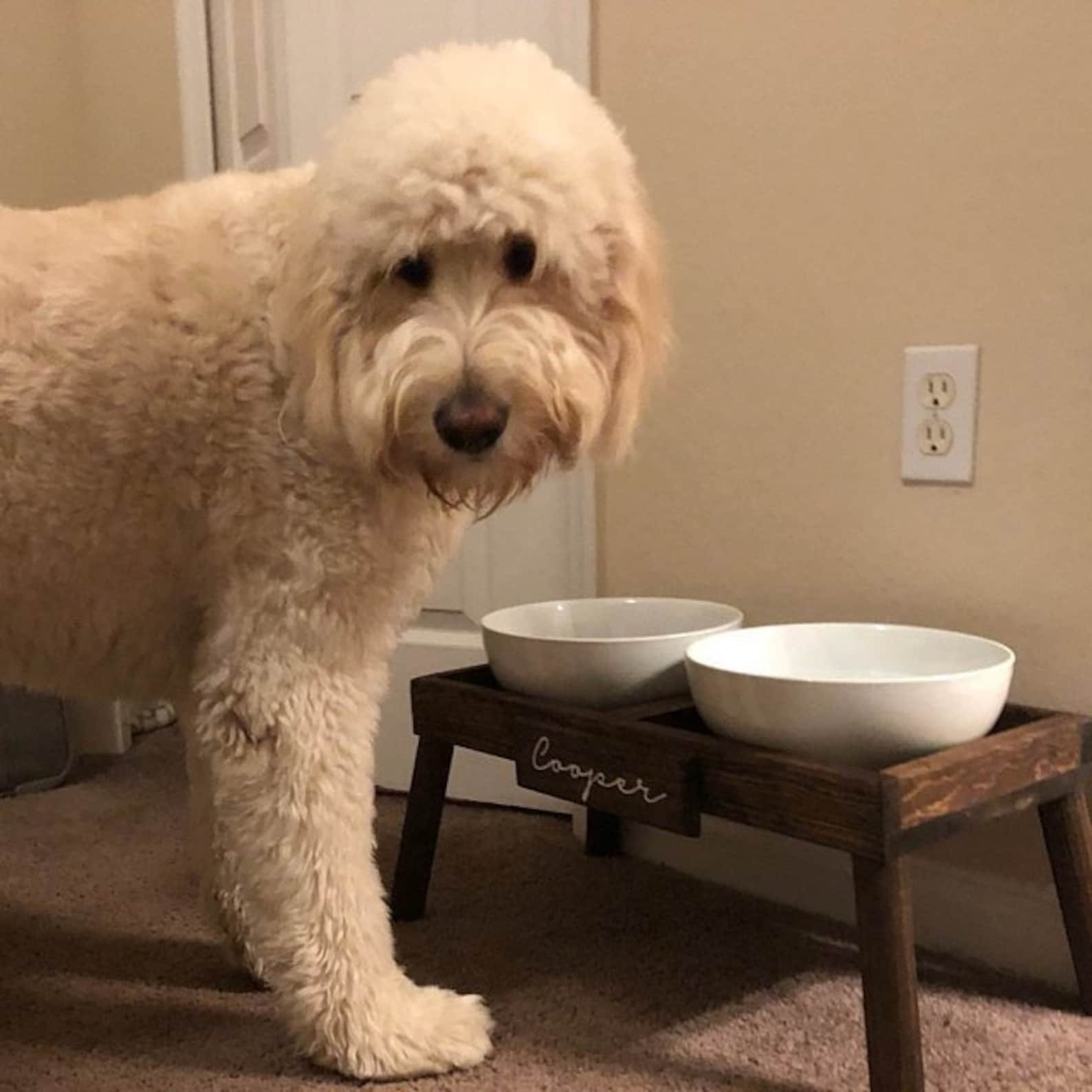 Large Breed Dog Food Stand Modern Dog Feeding Station | Etsy