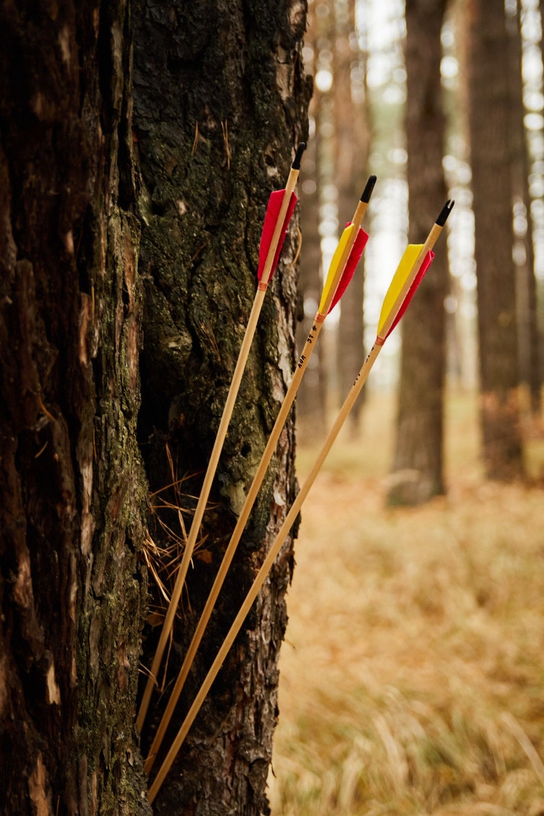 Archery Arrows Wooden Arrows Traditional Arrows Training Arrows SCA ...