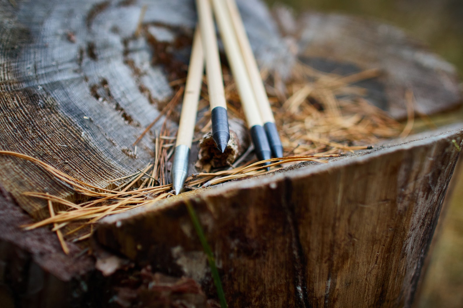 Archery Arrows Wooden Arrows Traditional Arrows Training Arrows SCA ...