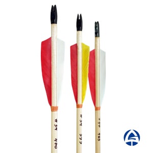 Archery Arrows With Plastic Knock / Wooden Arrows / Training Arrows ...