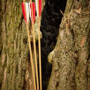 Archery Arrows With Plastic Knock / Wooden Arrows / Training Arrows ...