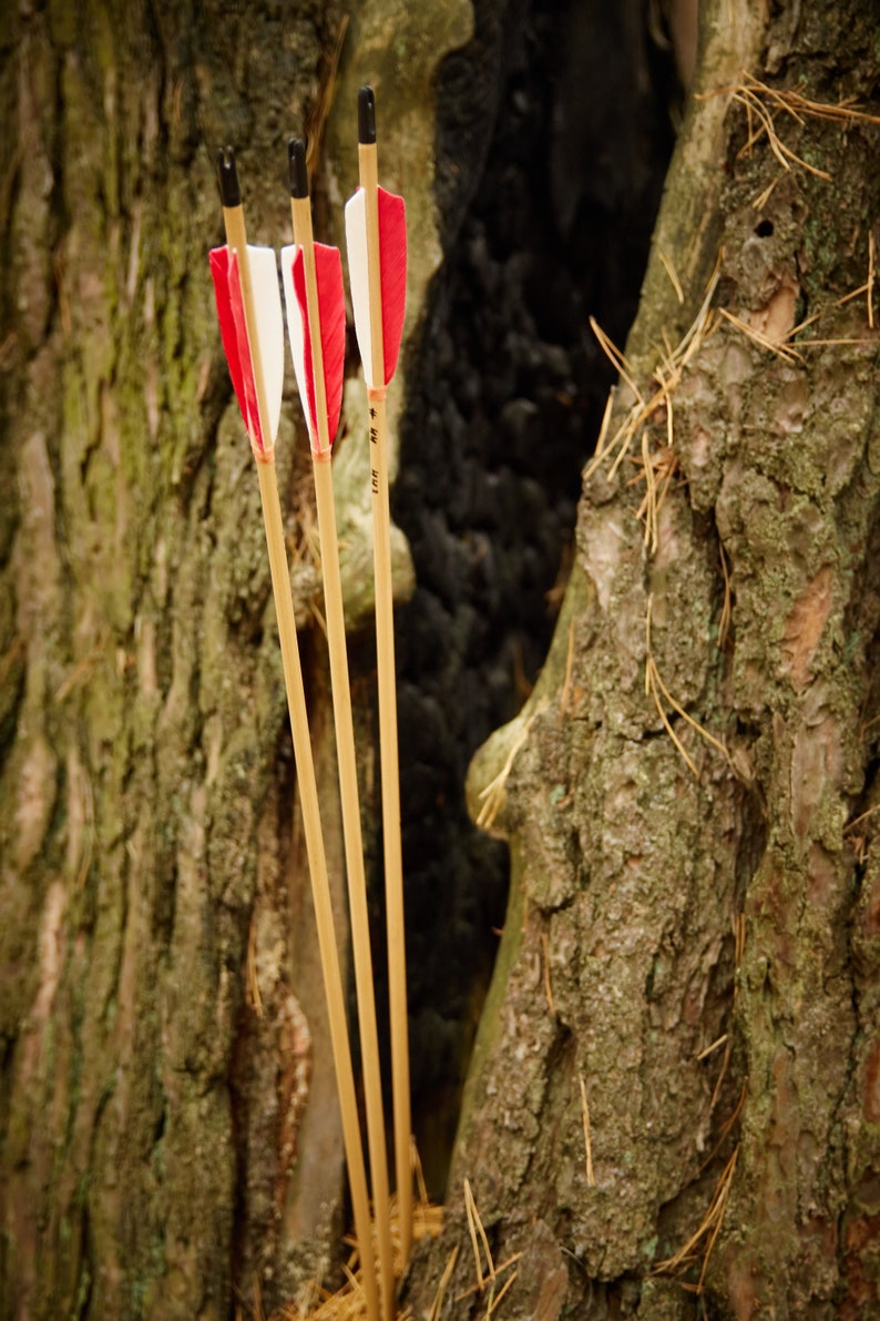 Archery Arrows Wooden Arrows Traditional Arrows Training Arrows SCA ...