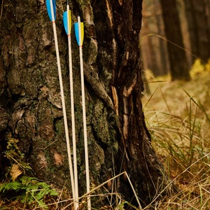 Archery Arrows Wooden Arrows Traditional Arrows Training Arrows SCA ...