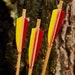 Archery Arrows Wooden Arrows Traditional Arrows Training Arrows SCA ...