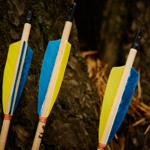 Archery Arrows With Plastic Knock / Wooden Arrows / Training Arrows ...