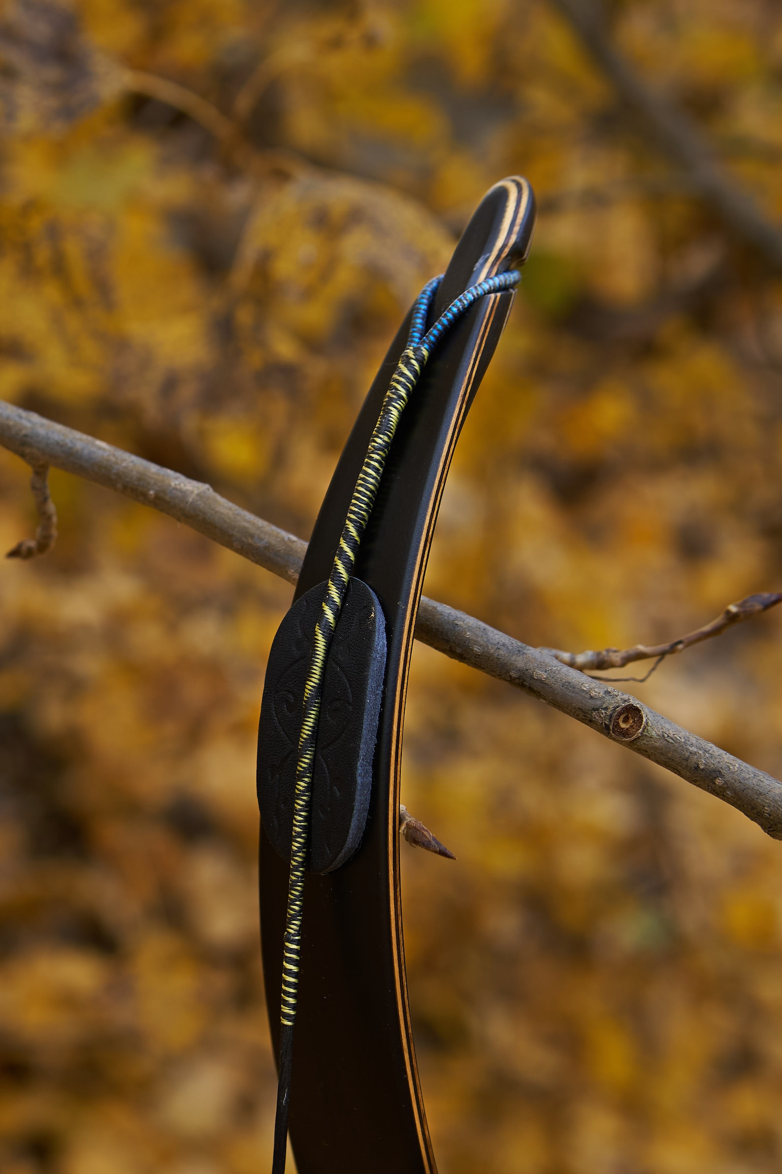 Recurve Bow BLACK BIRD Laminated 52 Modern Traditional - Etsy
