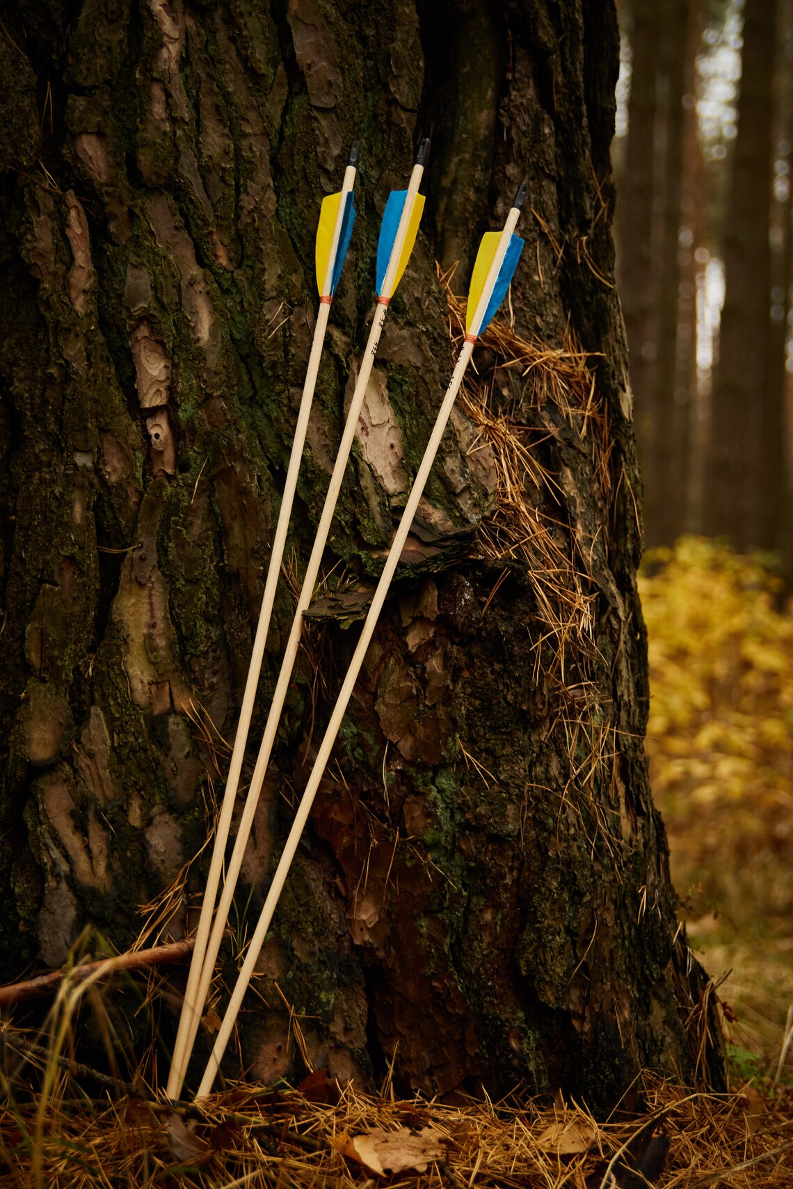 Archery Arrows Wooden Arrows Traditional Arrows Training Arrows SCA ...