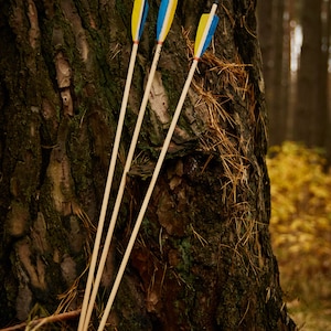 Archery Arrows With Plastic Knock / Wooden Arrows / Training Arrows ...