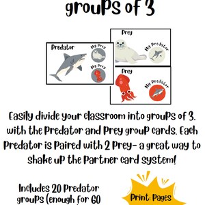 Predator & Prey Partner or Small Group Pairing Cards - Etsy